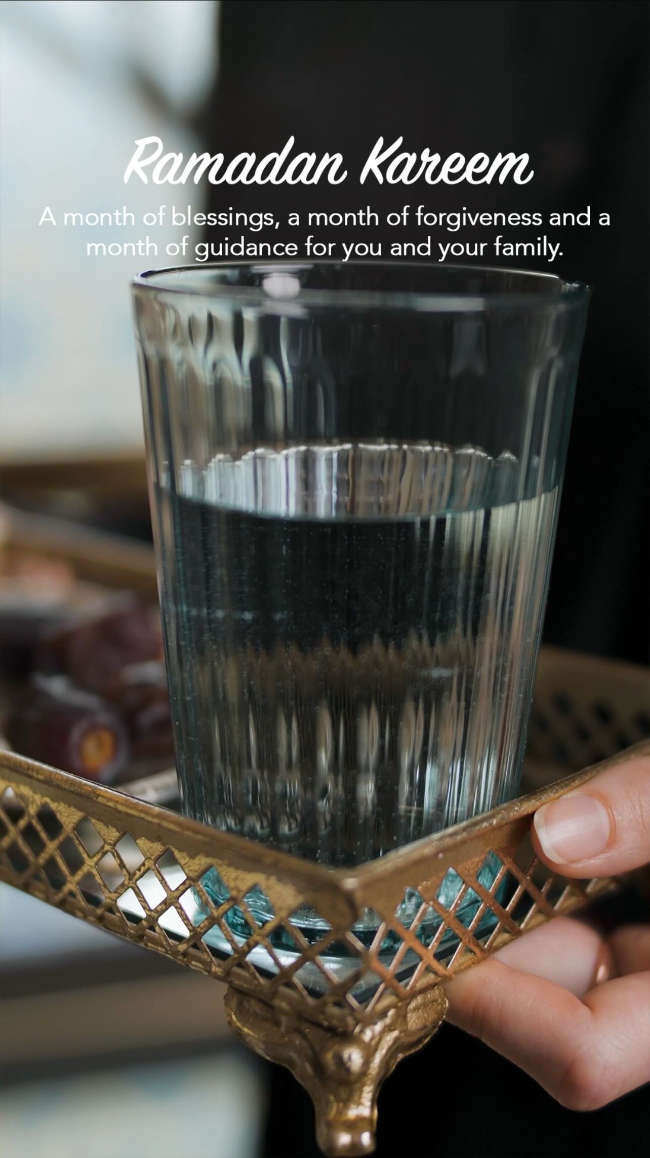 Spring Water | Organic Glacier Sparkling Water | Pura Spring